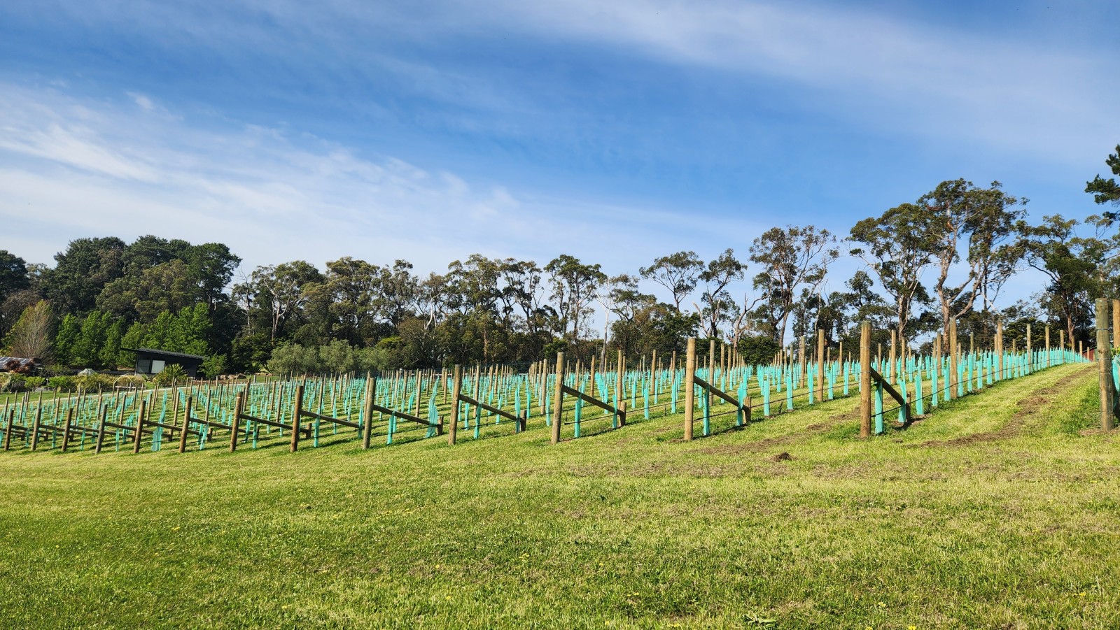 Prossor Town Planning - Shoreham Case Study